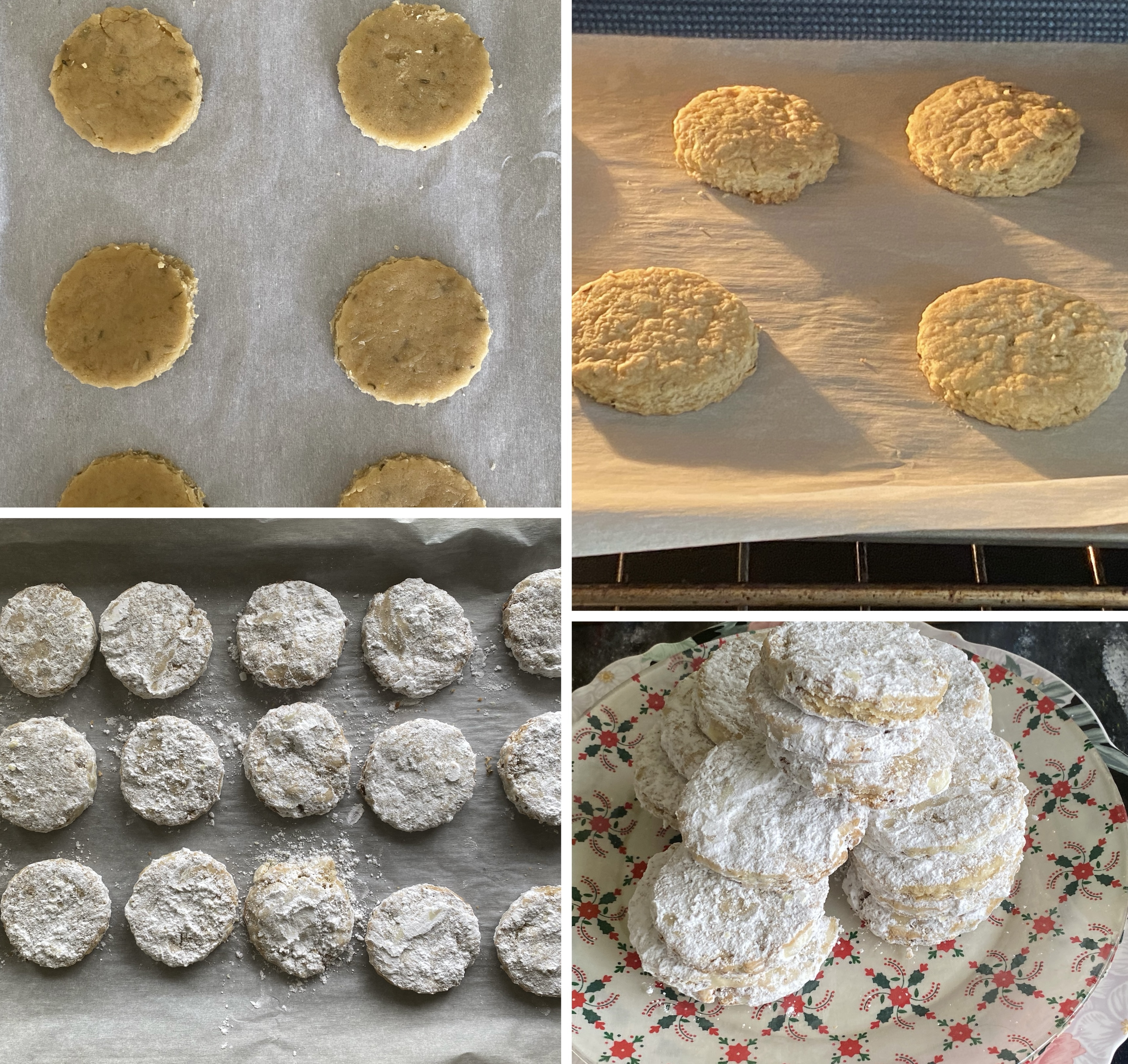 Saunf Cookies (Fennel Seeds Cookies) – sarchakra